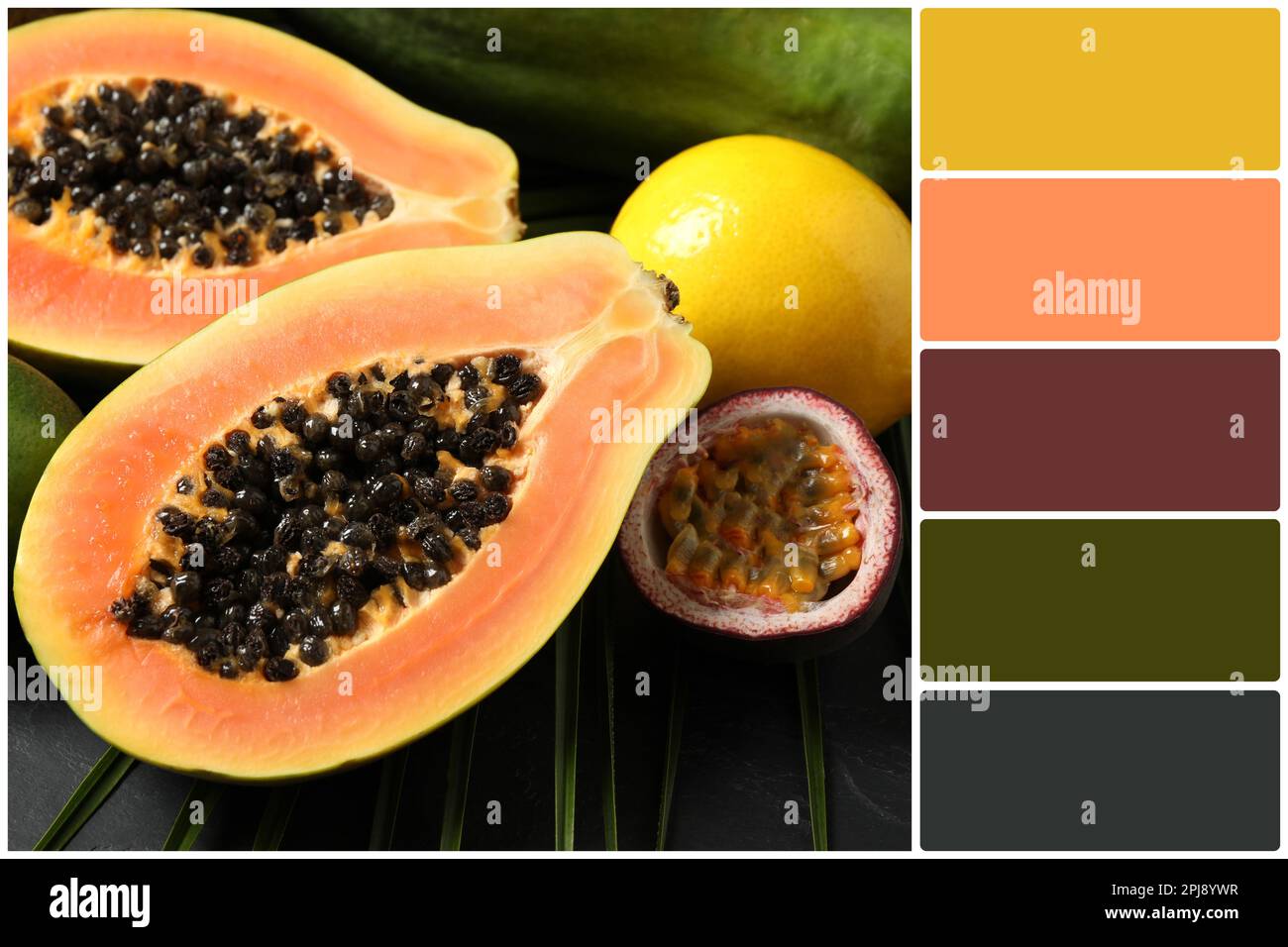 Color palette and fresh ripe papaya and other fruits on black table ...
