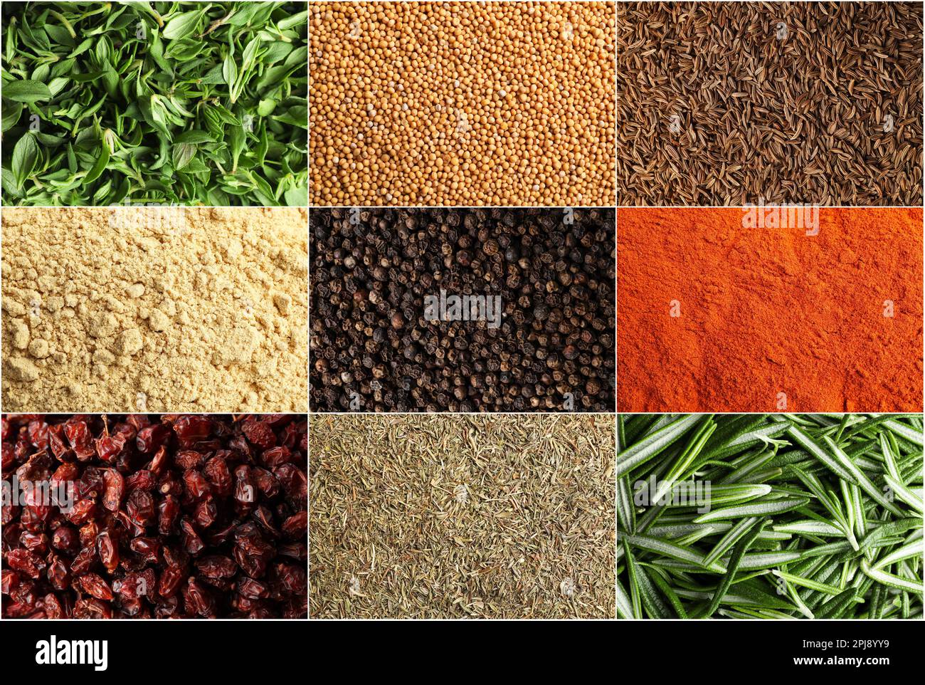 Collage with photos of different spices and herbs, top view Stock Photo ...