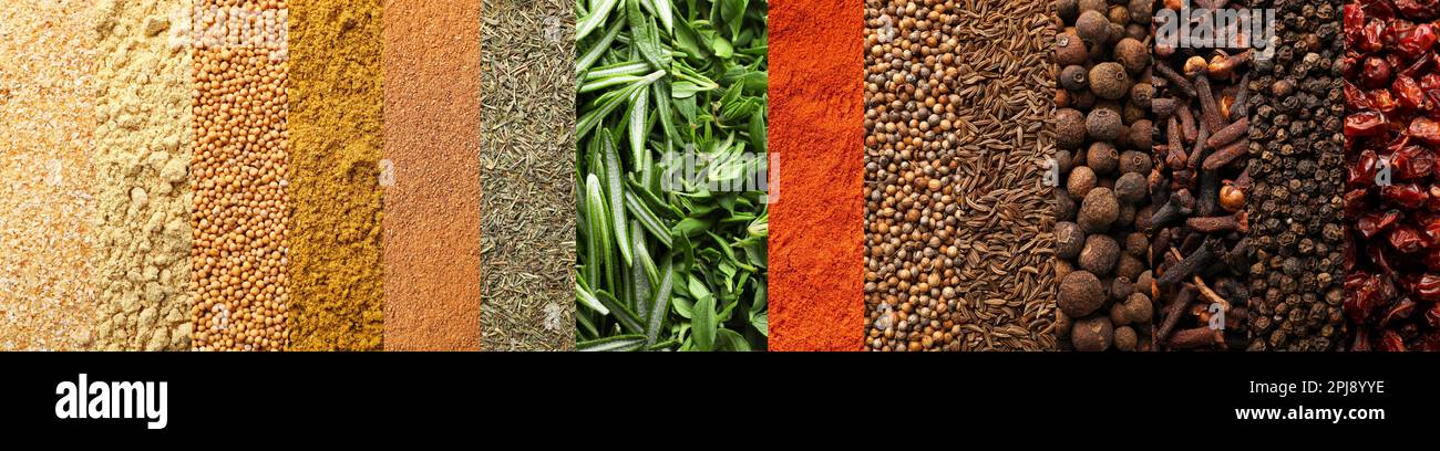 Collage with photos of different spices and herbs, top view. Banner ...