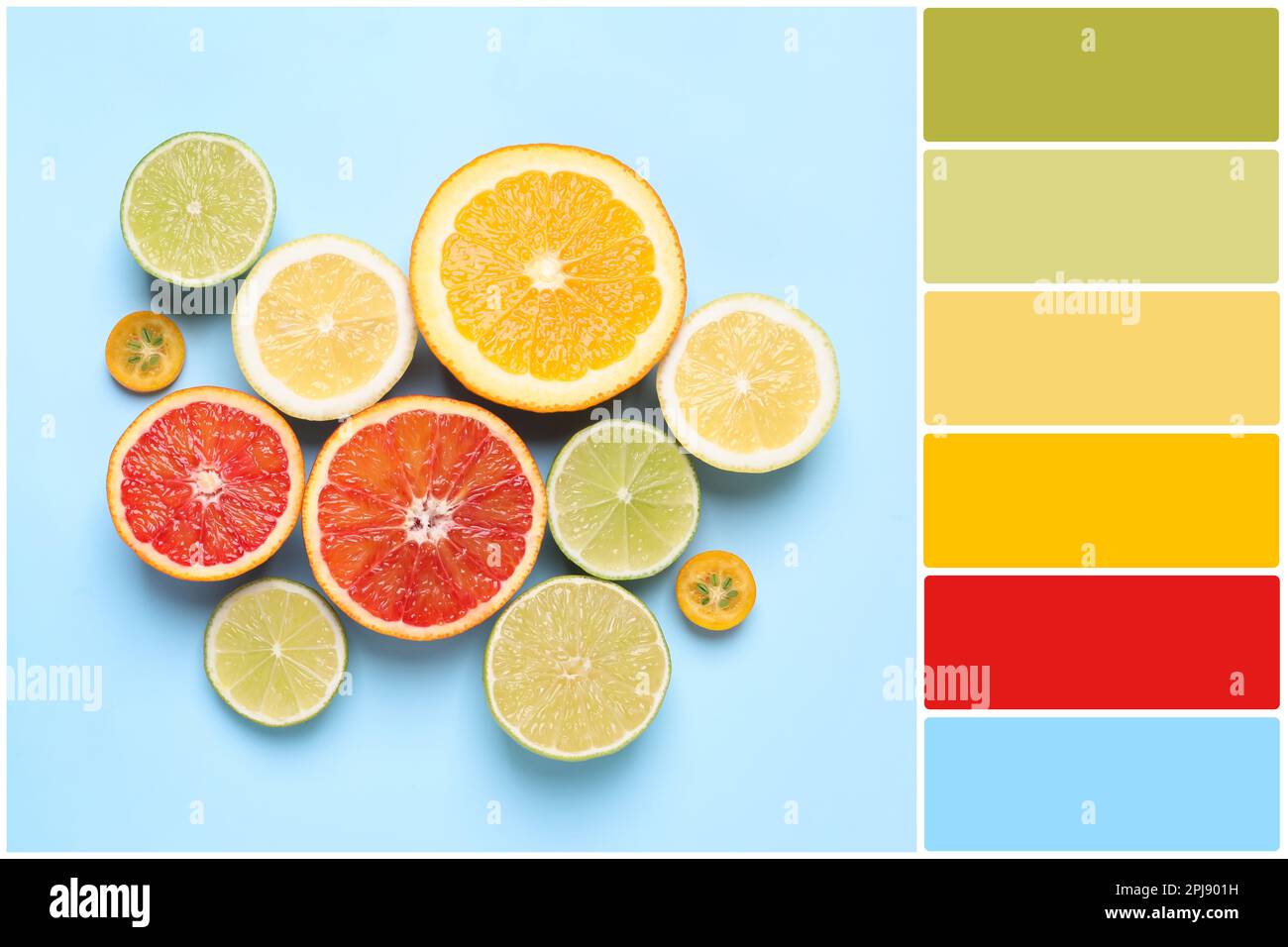 Color palette and fresh juicy citrus fruits on turquoise background ...