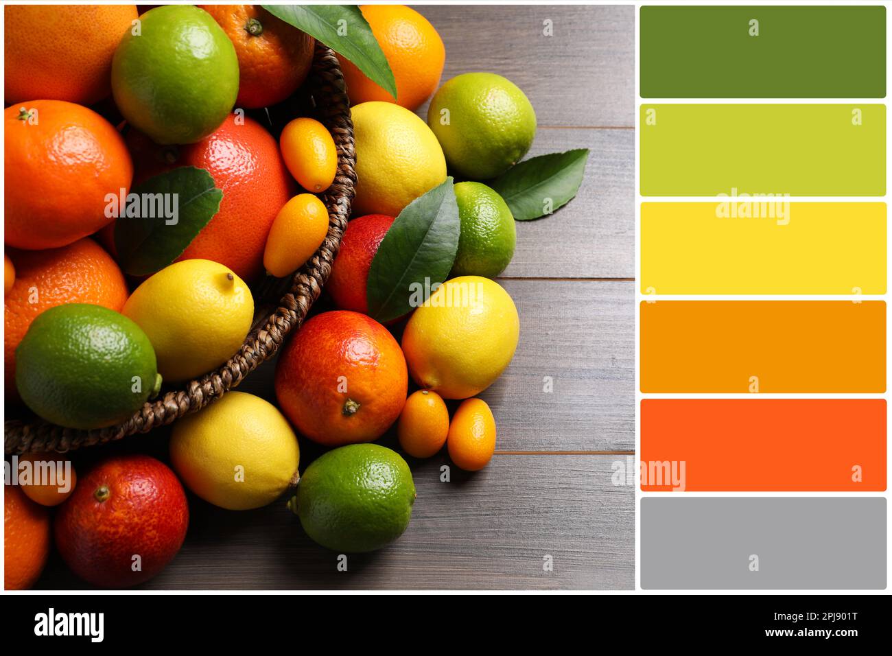 Color palette and different citrus fruits on wooden table, closeup view ...