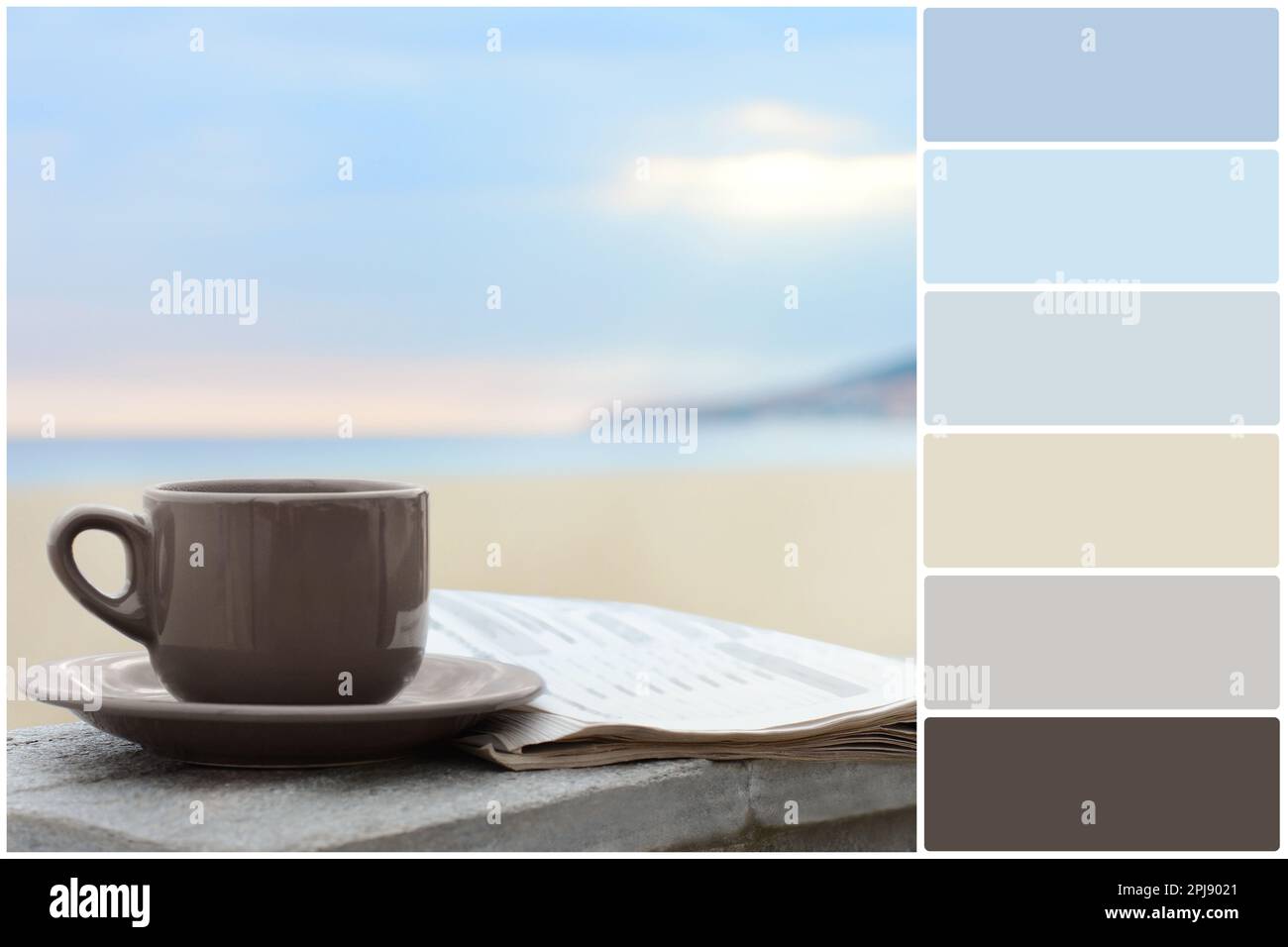 Color Palette Of Newspaper at Samantha Sternberg blog