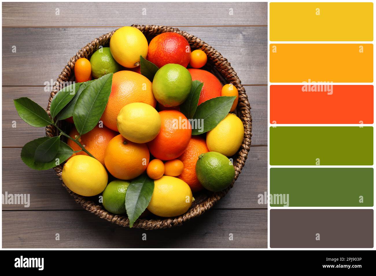 Different Color Fruits at Jacqueline Sadler blog