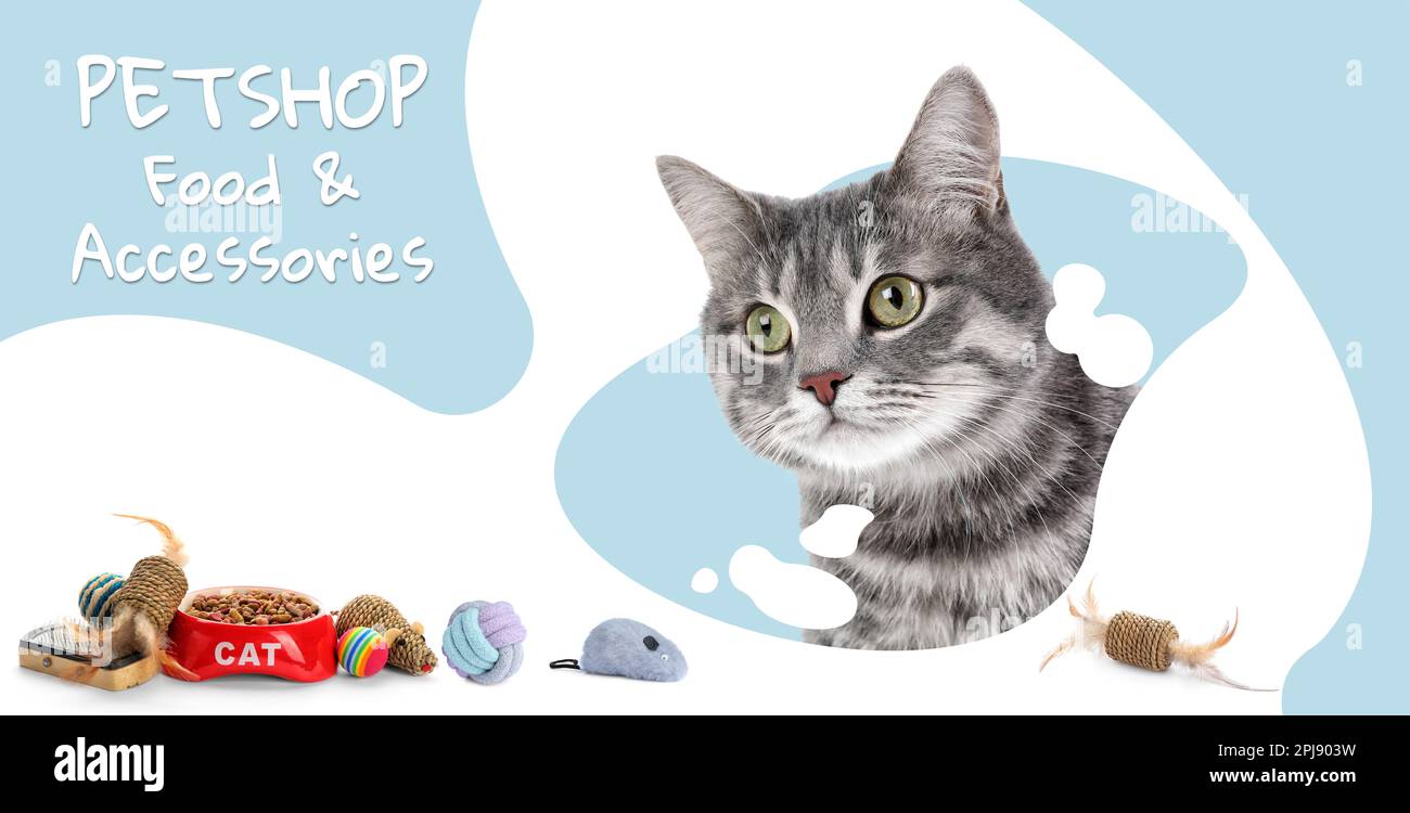 Advertising banner design for pet shop. Cute cat and different ...