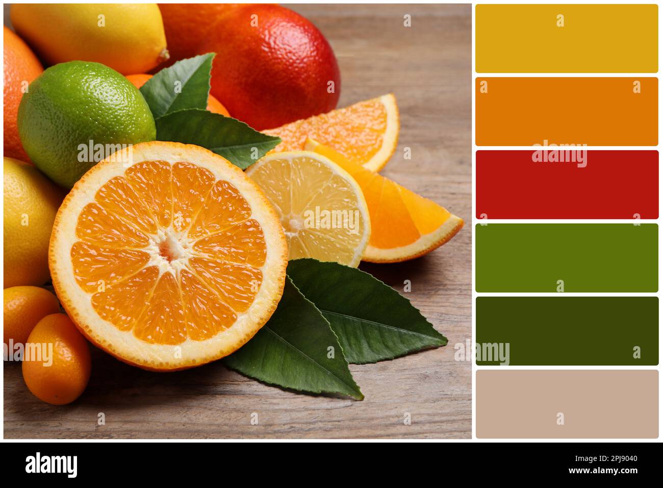 Color palette and fresh juicy citrus fruits with green leaves on wooden ...