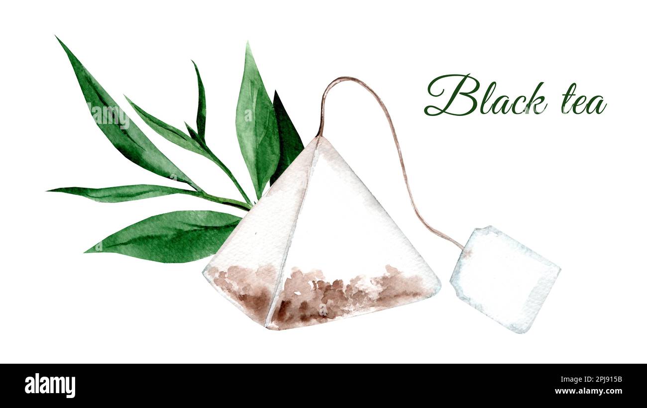 Tea bag watercolor. Filter paper, thread, square label. Hand drawn ...