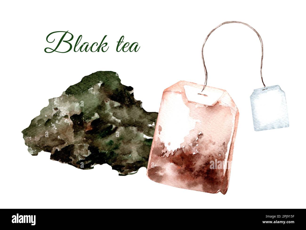 Tea bag watercolor. Filter paper, thread, square label. Hand drawn ...
