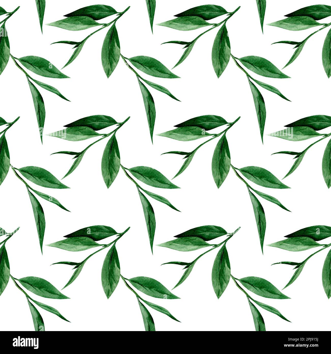 Seamless pattern texture tea hi-res stock photography and images - Alamy