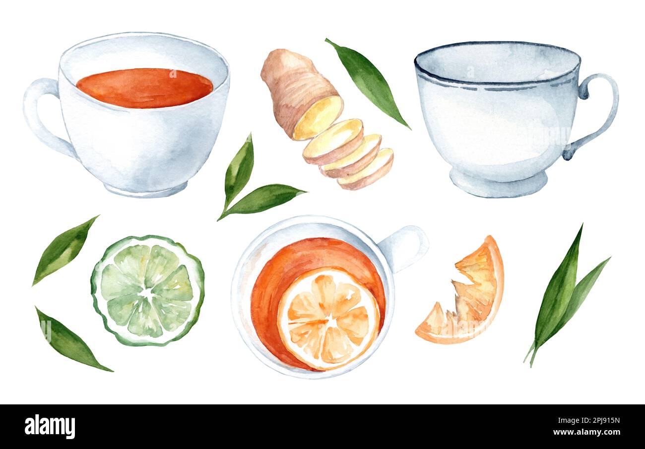 Tea with bergamot, lemon and ginger. Set of watercolor illustrations ...
