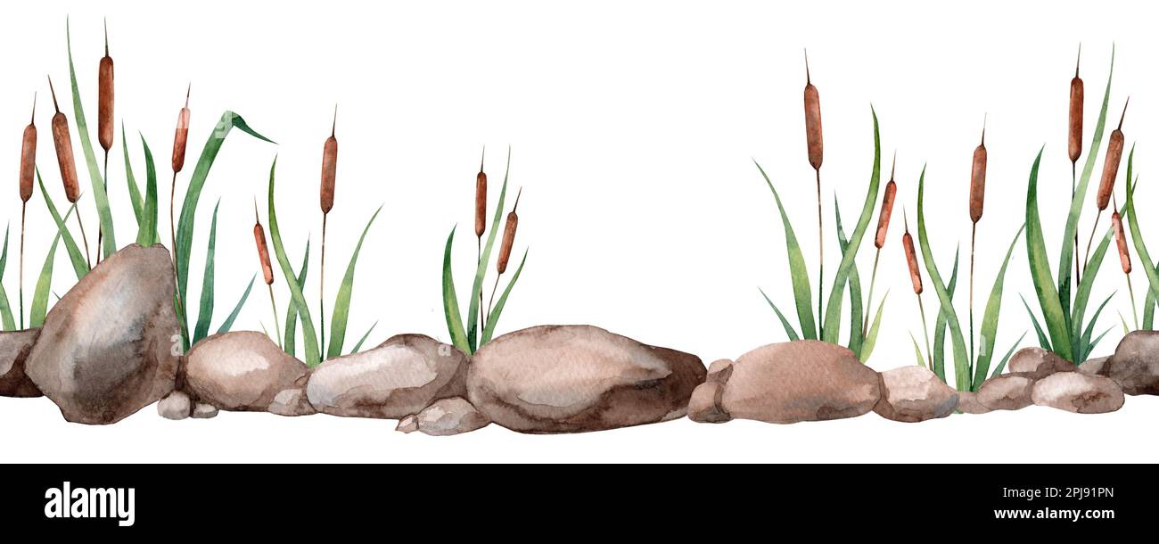 Seamless border with stones and reeds. Watercolor hand drawn ...