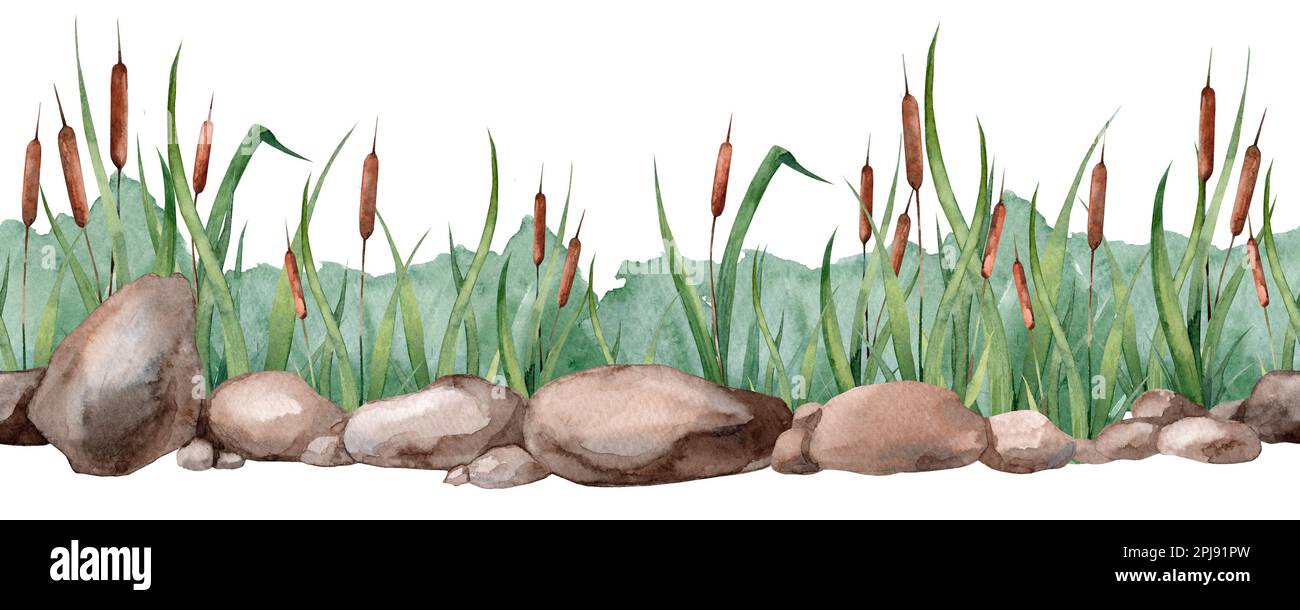 Seamless border with stones and reeds. Watercolor hand drawn ...