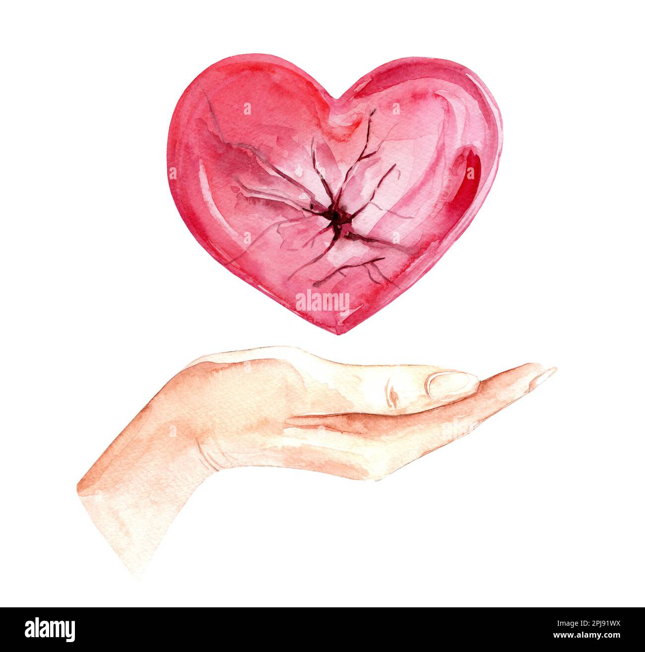 Red broken heart in female hands. Watercolor illustration isolated on ...