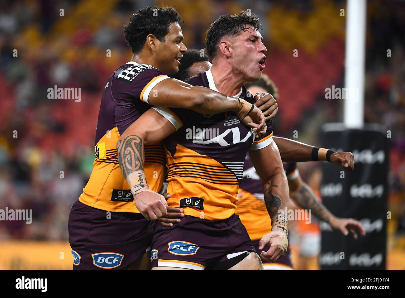 Jordan Riki of the Broncos scores a try during the NRL Round 5 match ...