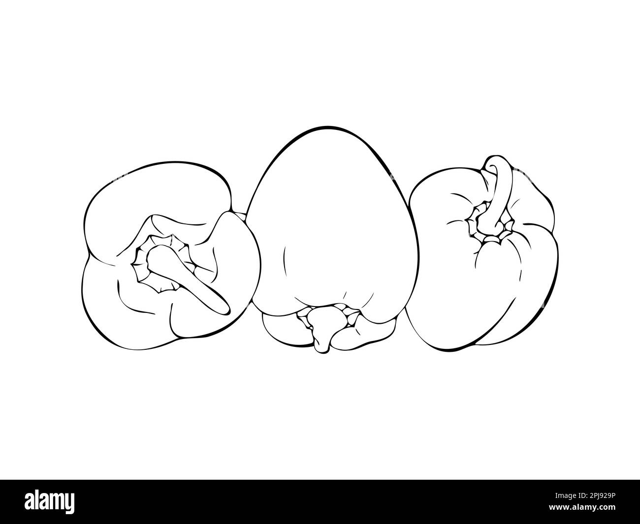 Pepper set hand drawn contour line drawing. Isolated, on white ...