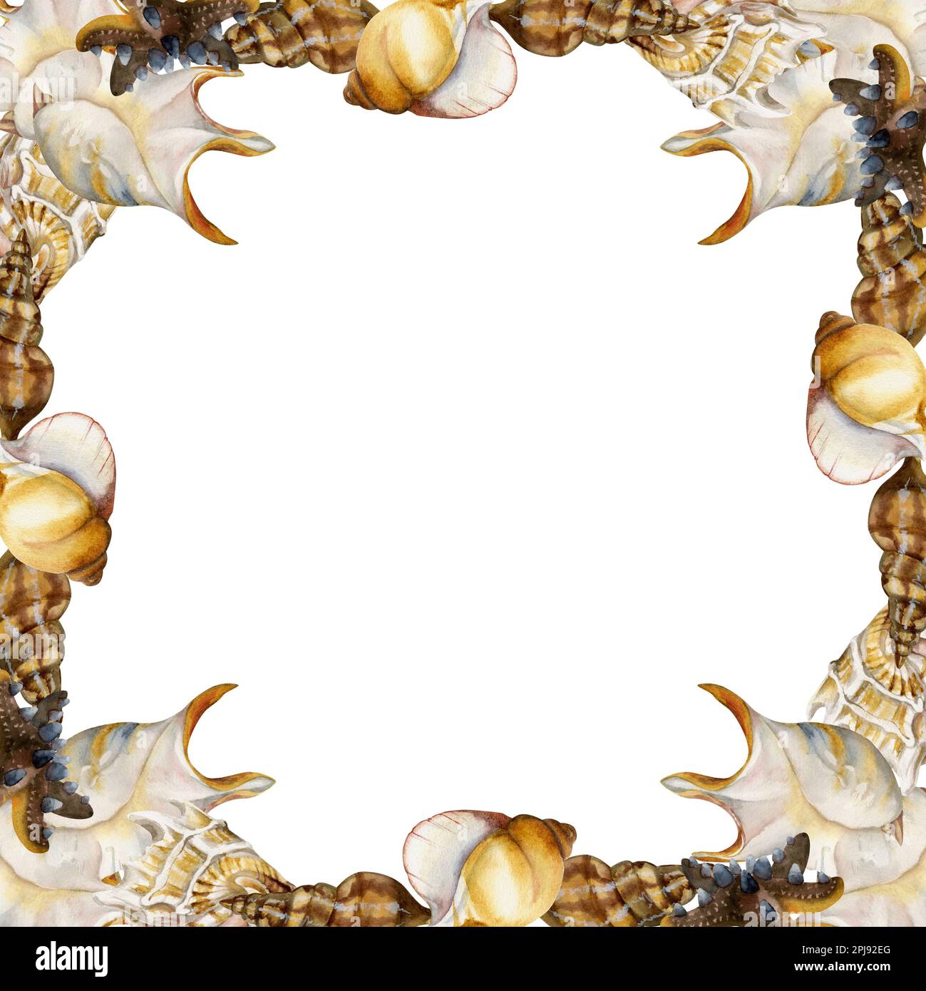 Hand drawn watercolor spiral pearl, brown and gold sea shells and ...