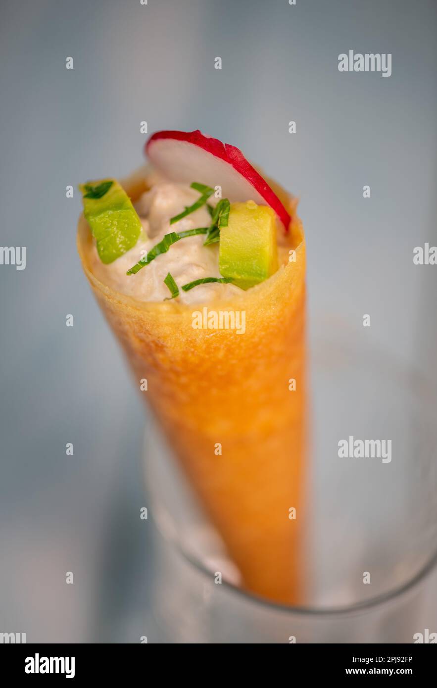Brick cone with tuna sauce, mayonnaise, avocado and radish slice Stock ...