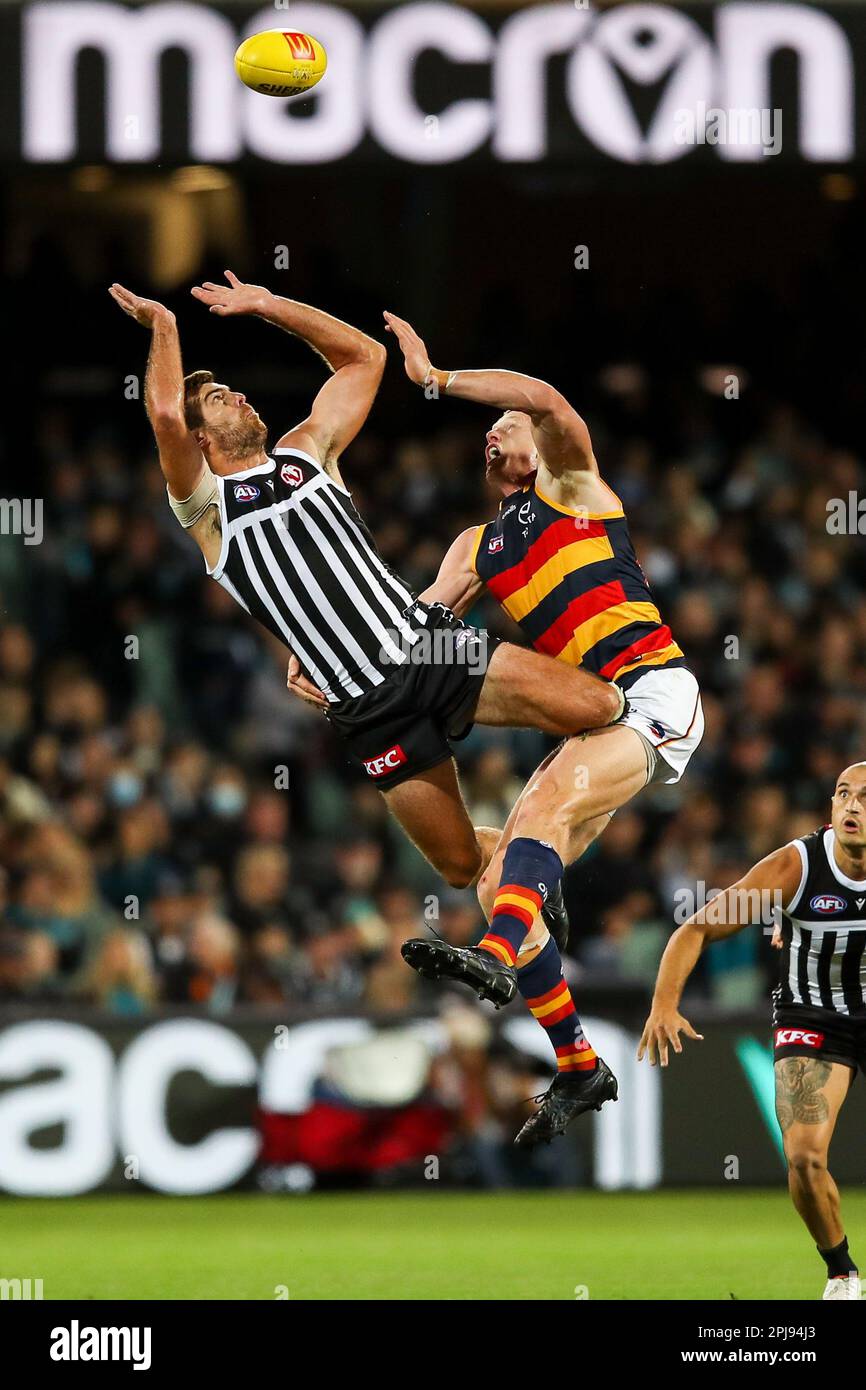 Scott Lycett of the Power and Reilly O'Brien of the Crows compete in a ...