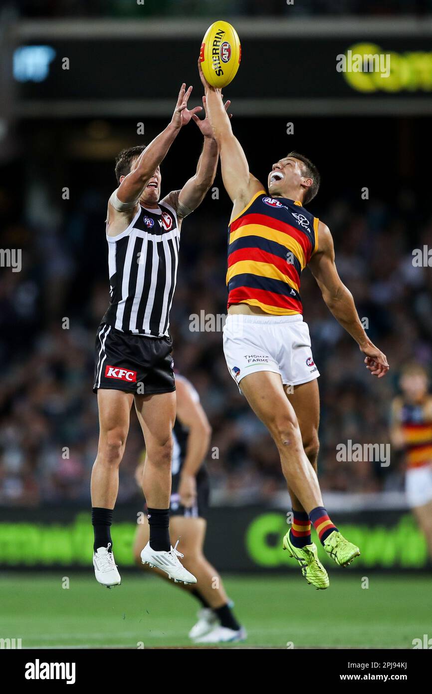 Tom Doedee of the Crows marks the ball in front of Zak Butters of the ...