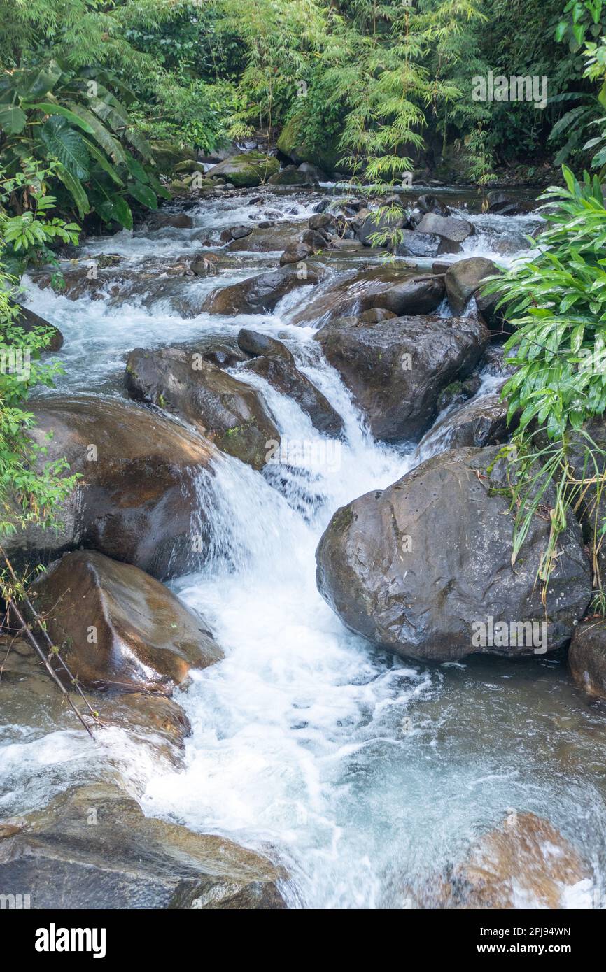 little creek with waterfall at Guanacaste of Occidental Tamarindo ...