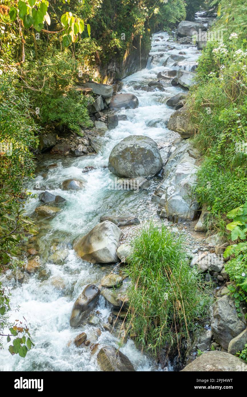 little creek with waterfall at Guanacaste of Occidental Tamarindo ...