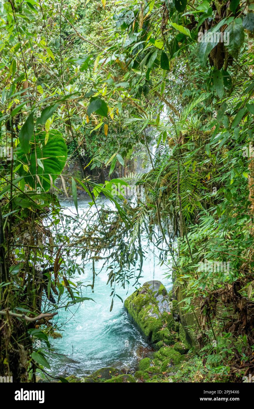 Cloudbridge reserve hi-res stock photography and images - Alamy