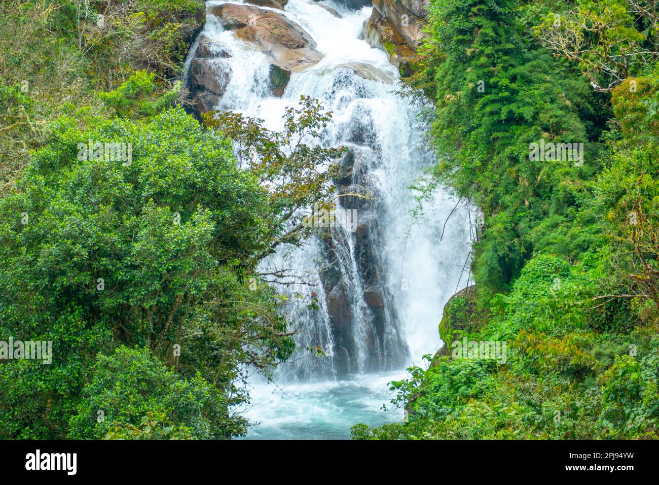Cloudbridge is a private nature reserve that stretches from 1550m to ...