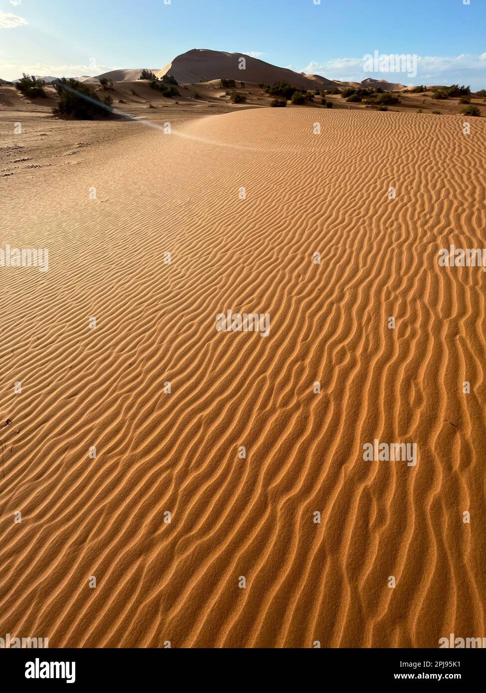 Dunes in the Sahara desert, Merzouga desert, grains of sand forming ...
