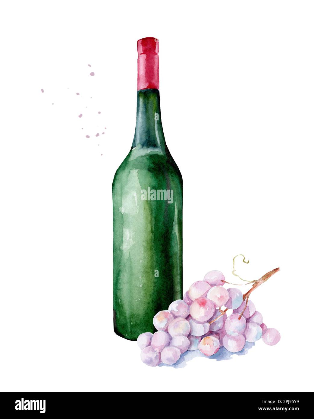 Grapes Painting White Background