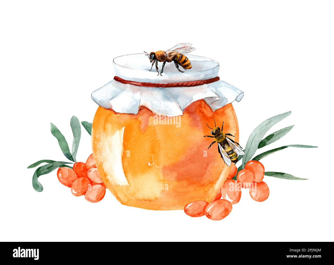 Honey illustration. Watercolor jar of honey with sea buckthorn and bees ...