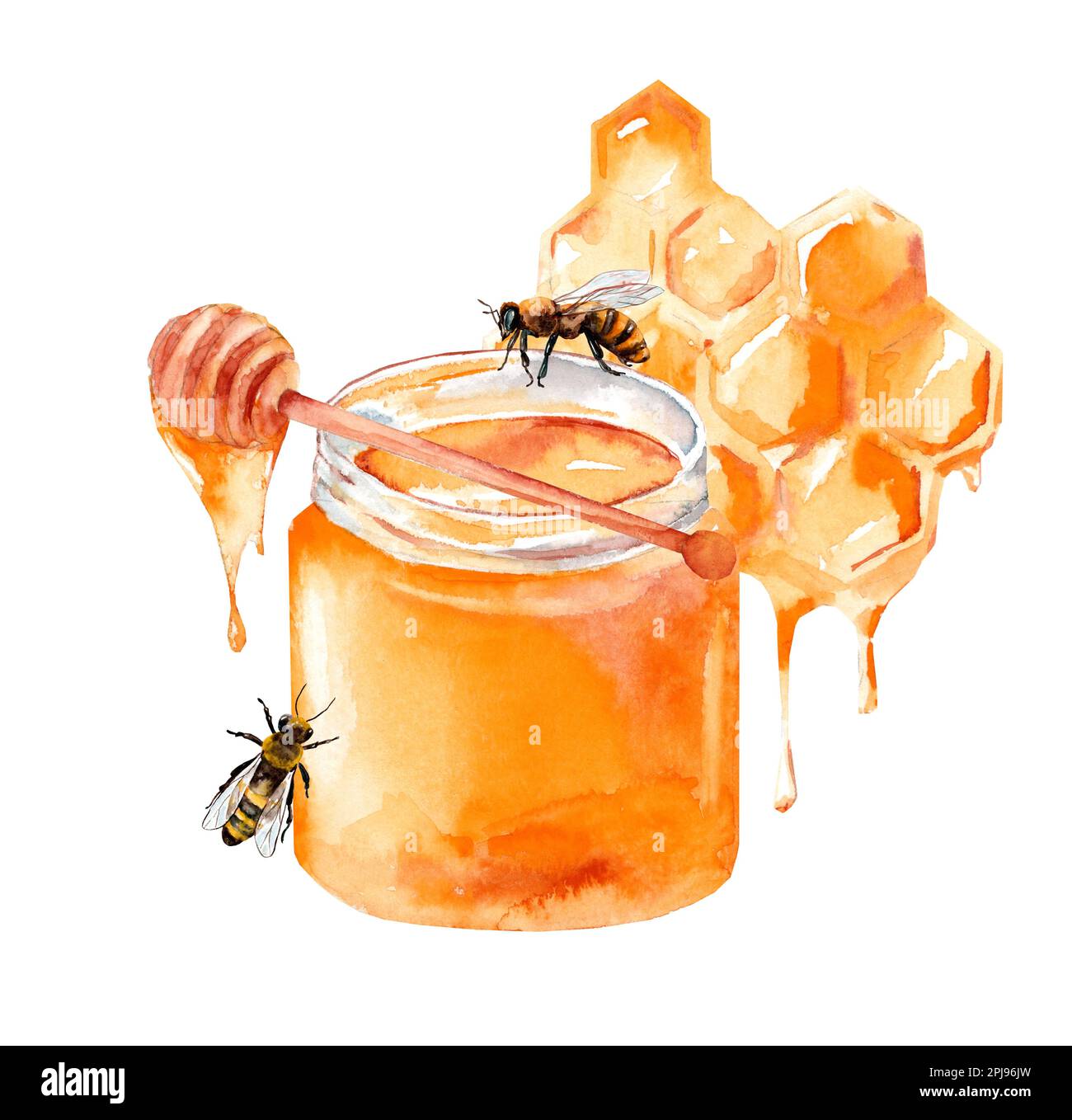 Sweet honey watercolor illustration. Picture for your design with honey ...