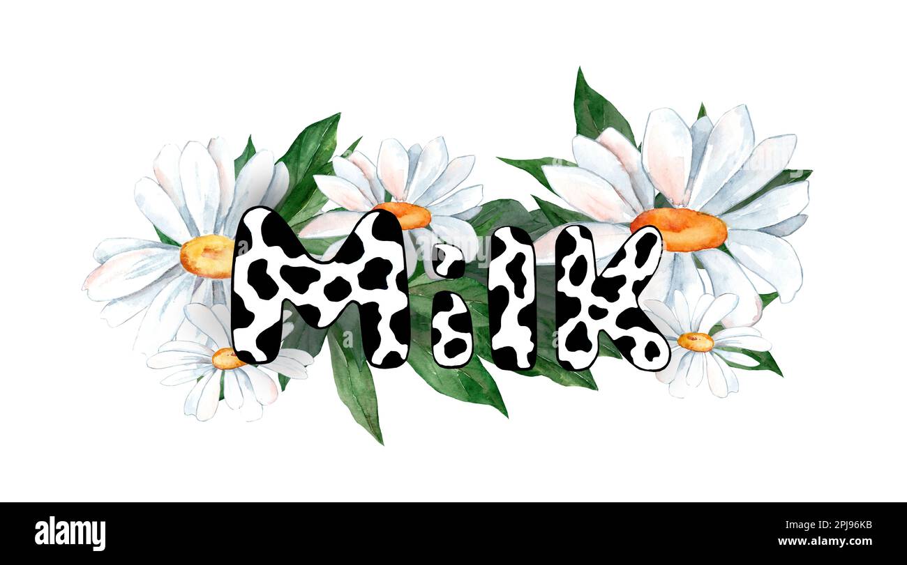 Milk logo template. The inscription on a milky background of chamomile ...