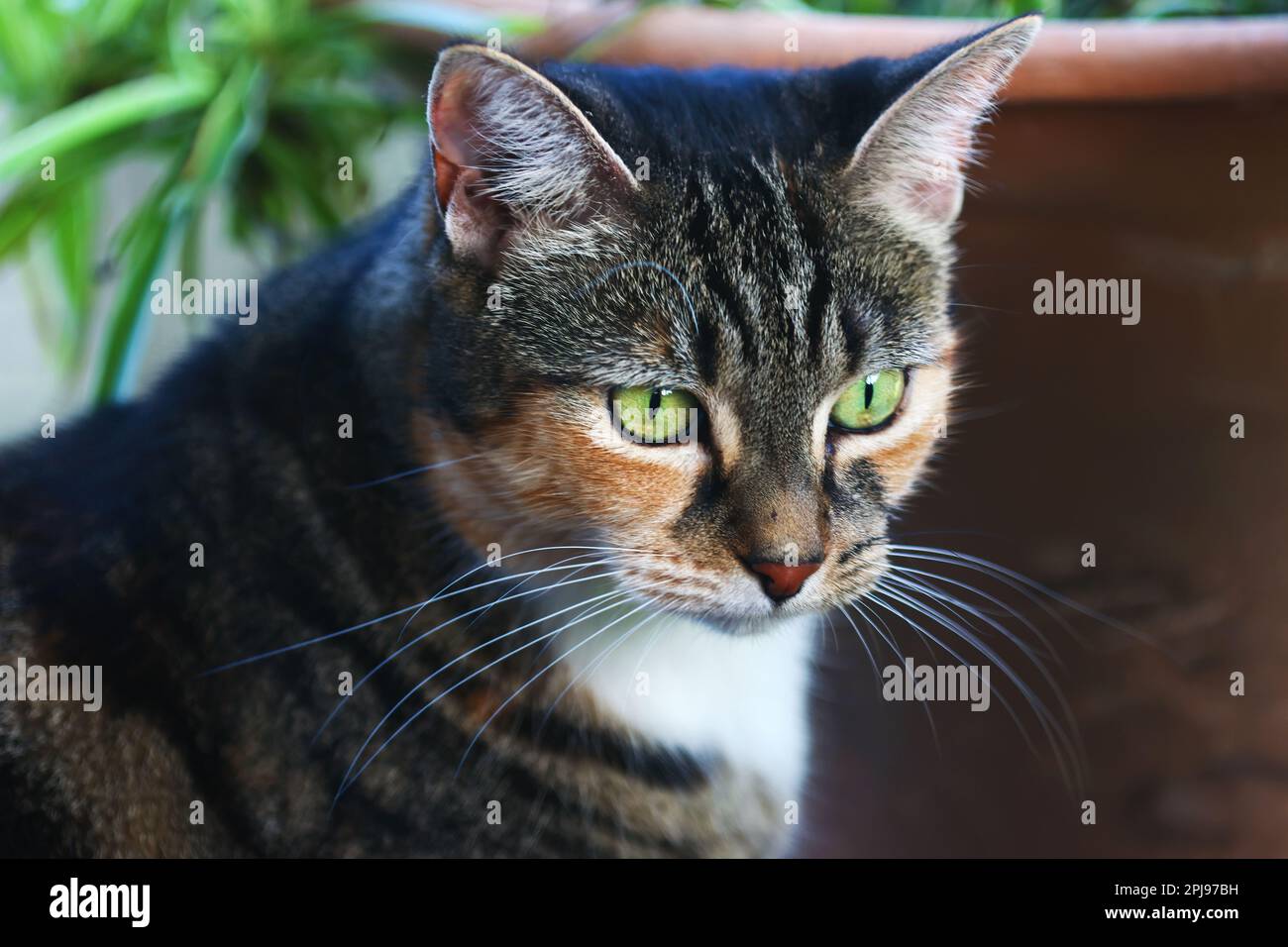 Random Cute Photography