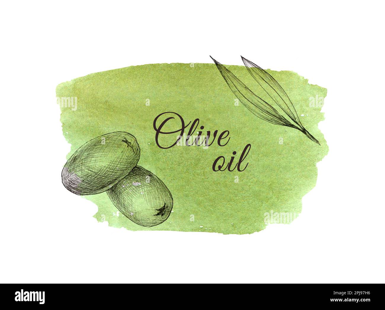 olive oil. Olives in graphics on a watercolor background. Hand drawn ...