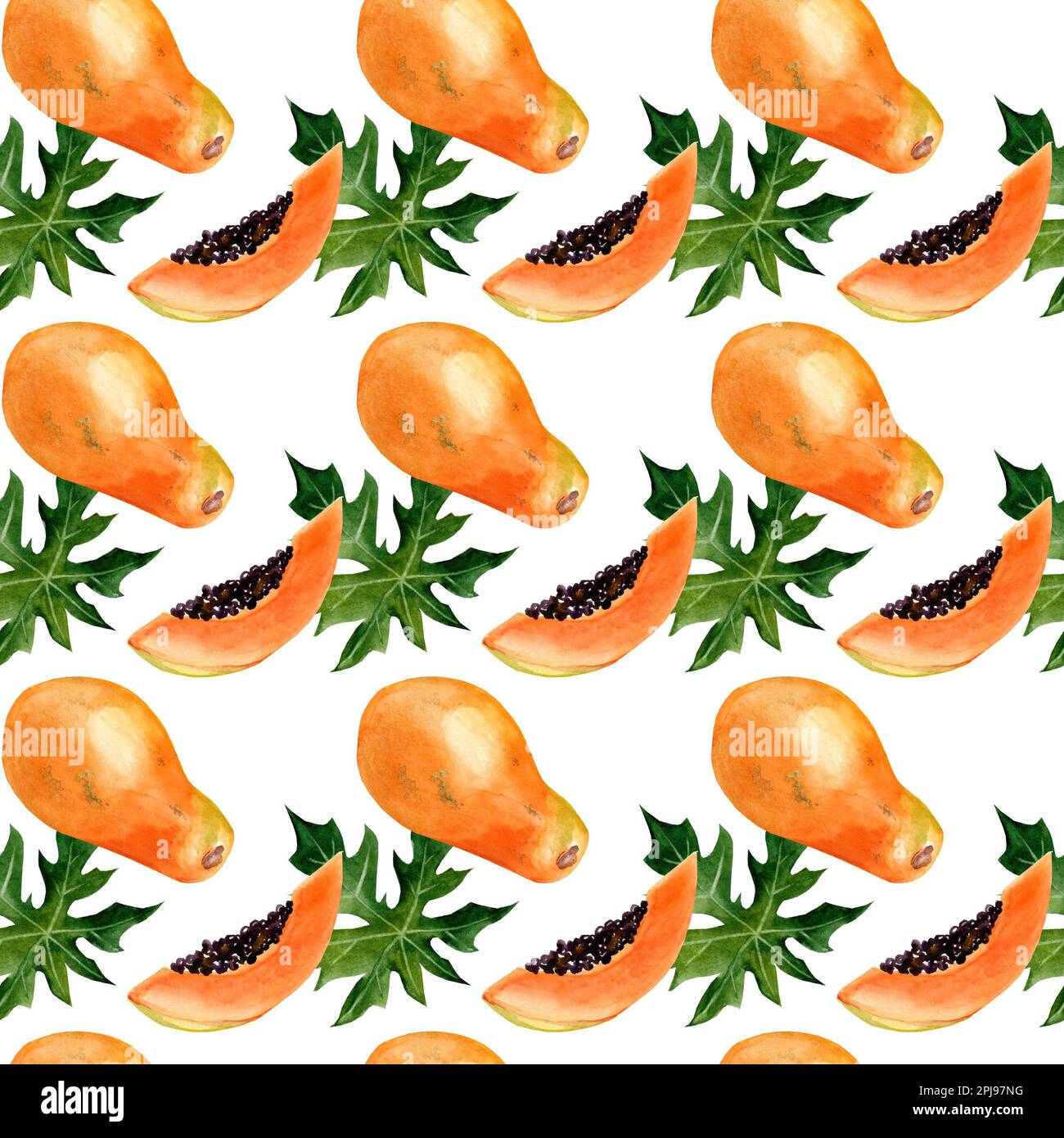Watercolor seamless pattern of papaya leaves and fruits. tropical ...