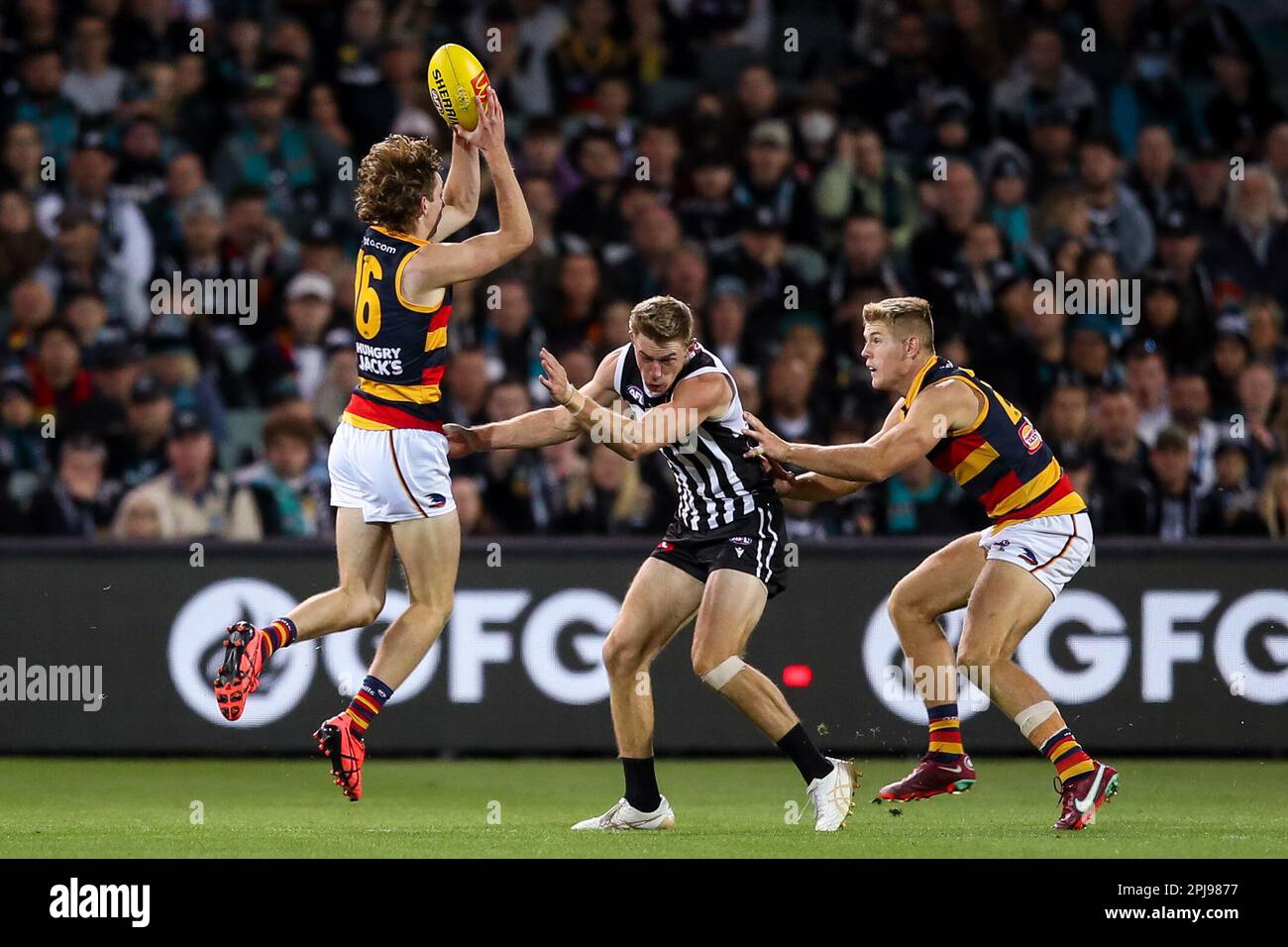 Max Michalanney of the Crows is tackled by Todd Marshall of the Power ...