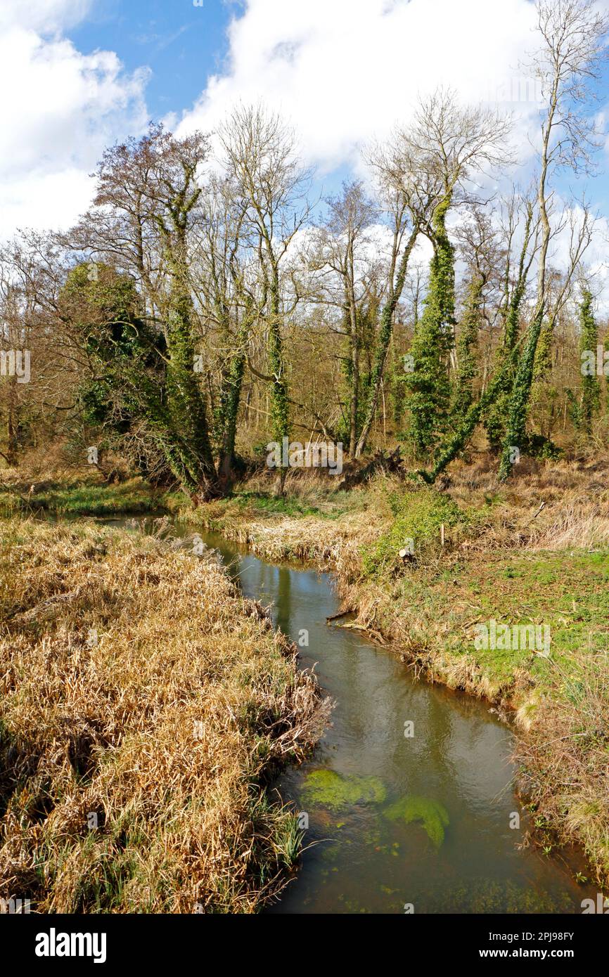 A view of the River Ant following the path of the old disused North ...