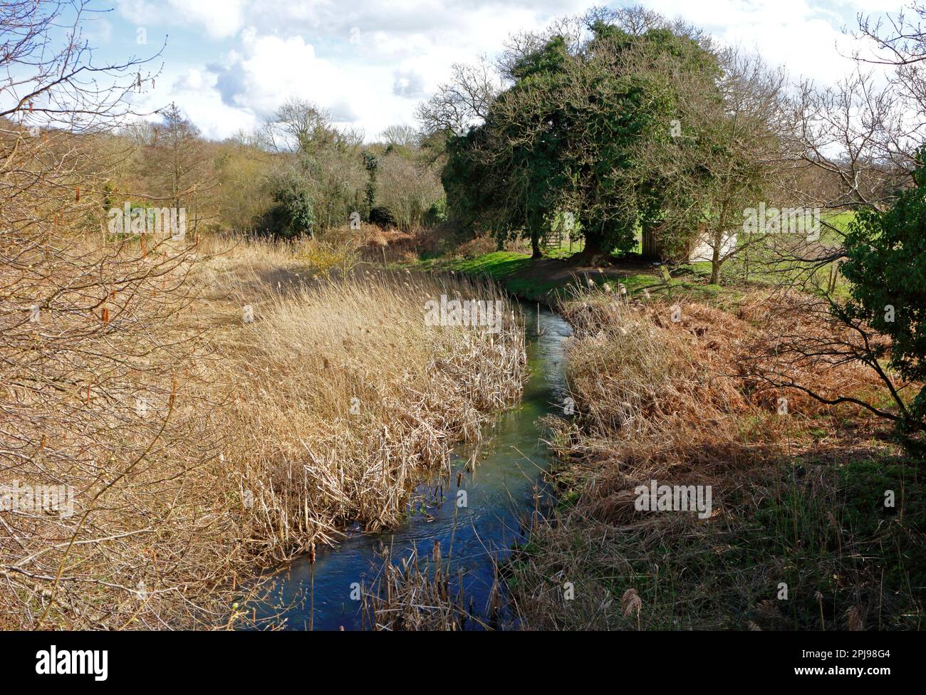 A view of the River Ant following the path of the old disused North ...