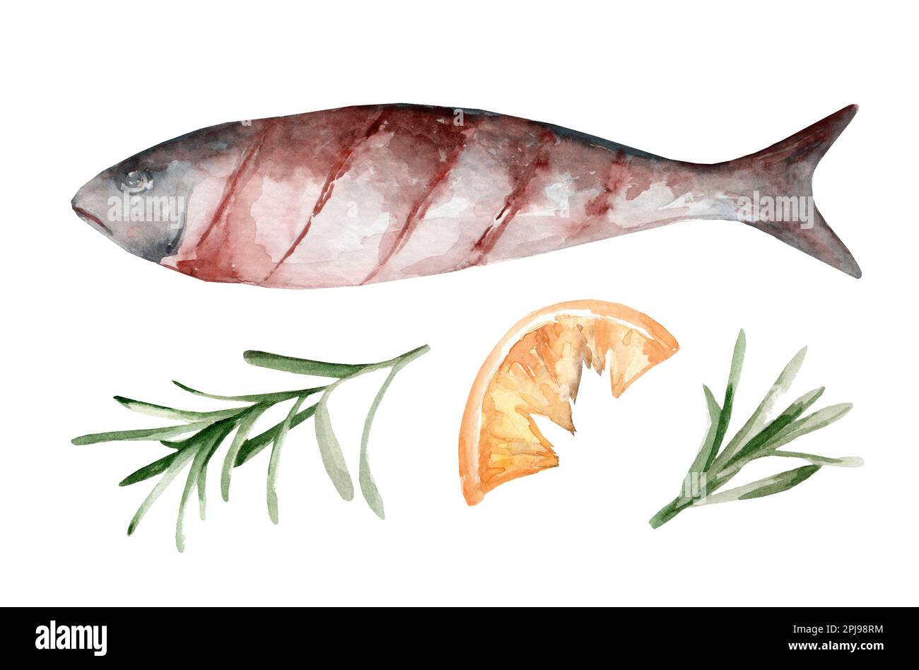 Grilled trout with lemon and rosemary. Watercolor hand drawn ...