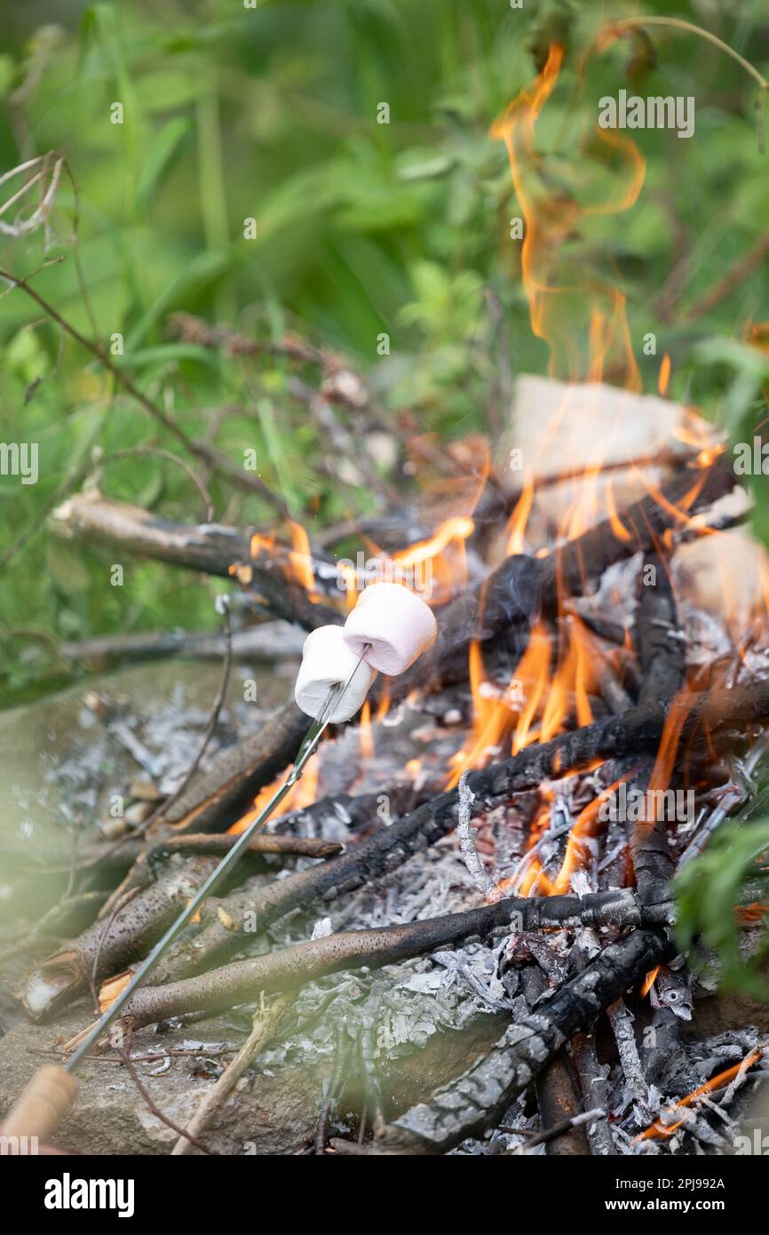 Toasting marshmallows fire hi-res stock photography and images - Alamy