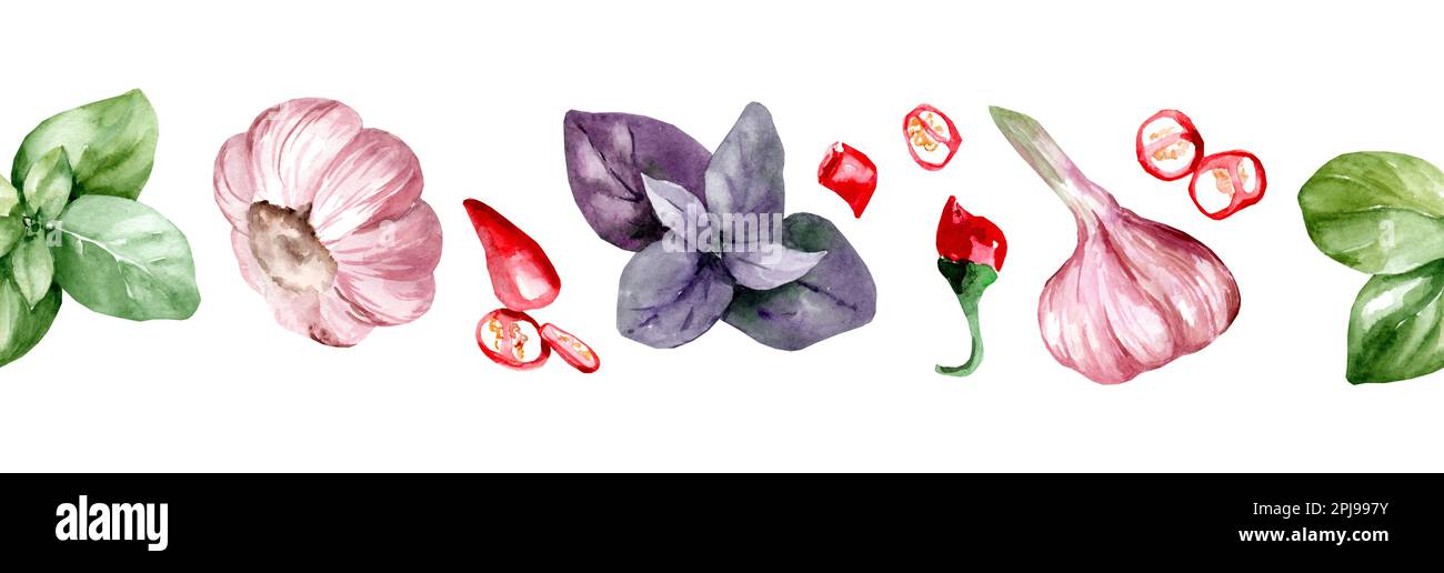Seamless horizontal border with colorful herbs and spices. Watercolor ...