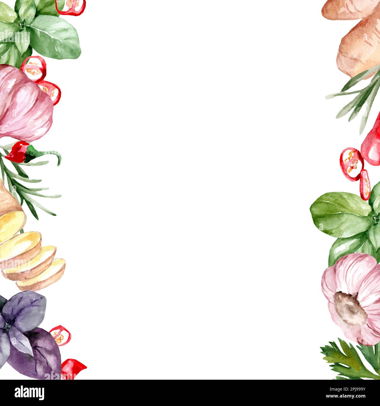 Watercolor herbs and spices. Frame with food: basil, rosemary, parsley ...