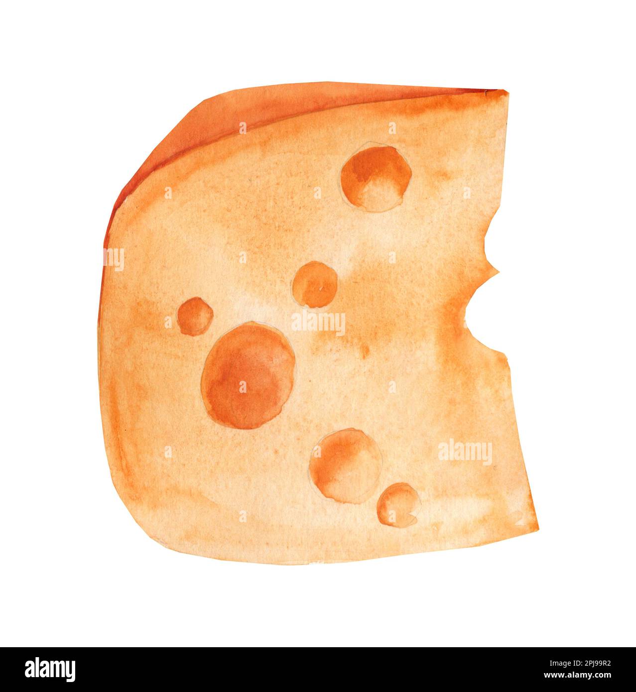 Watercolour illustration cheese hi-res stock photography and images - Alamy