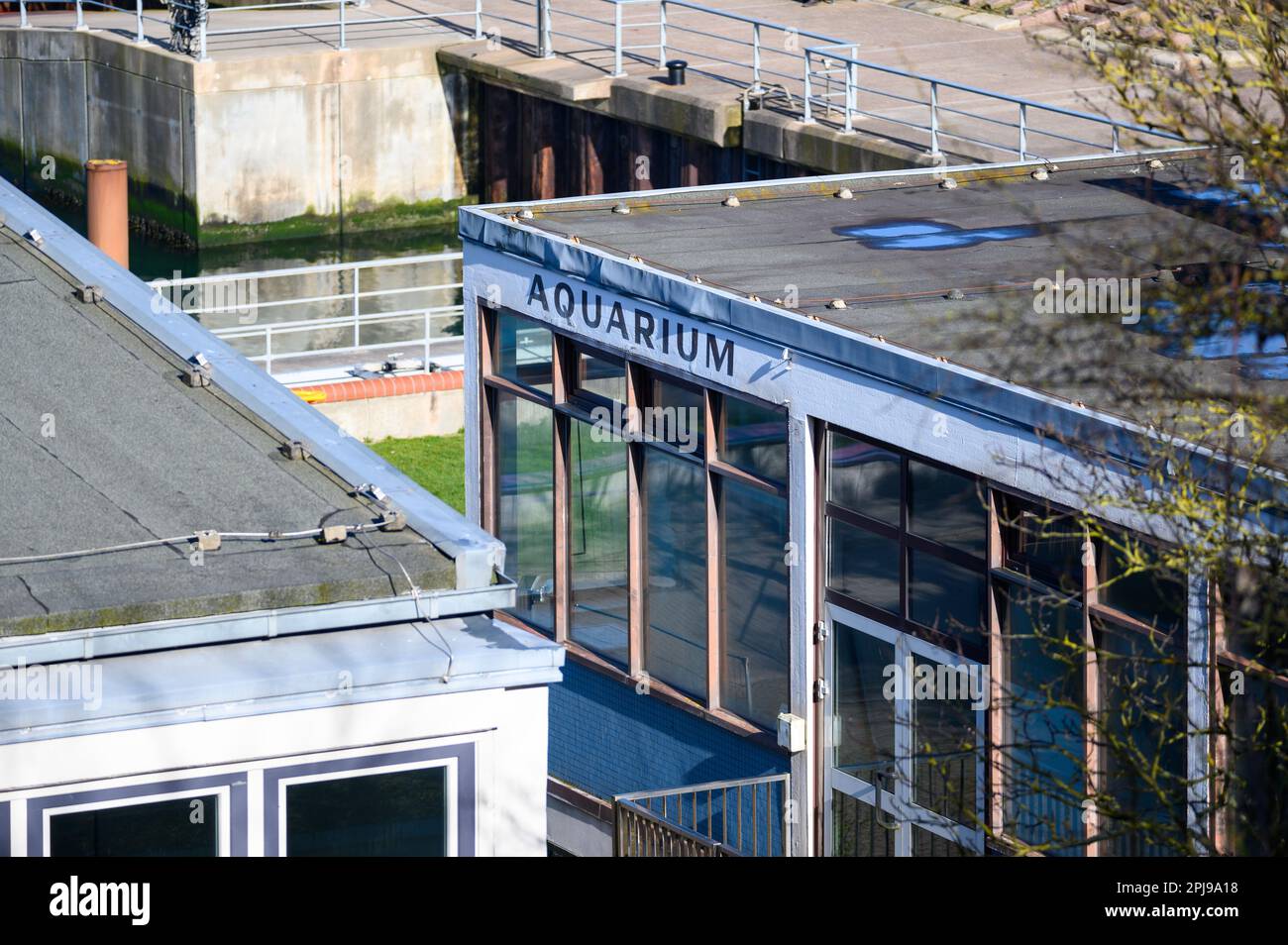 24 March 2023, Schleswig-Holstein, Helgoland: The aquarium on Helgoland ...