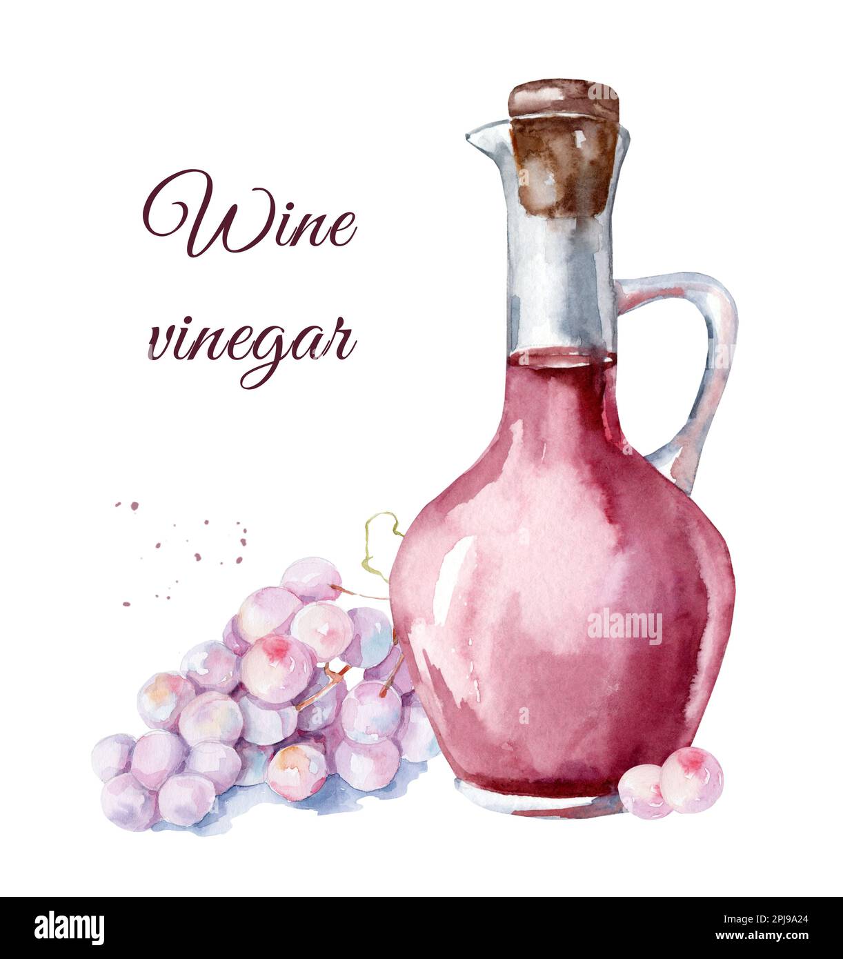 Jar with red wine vinegar. Watercolor hand drawn illustration, isolated ...