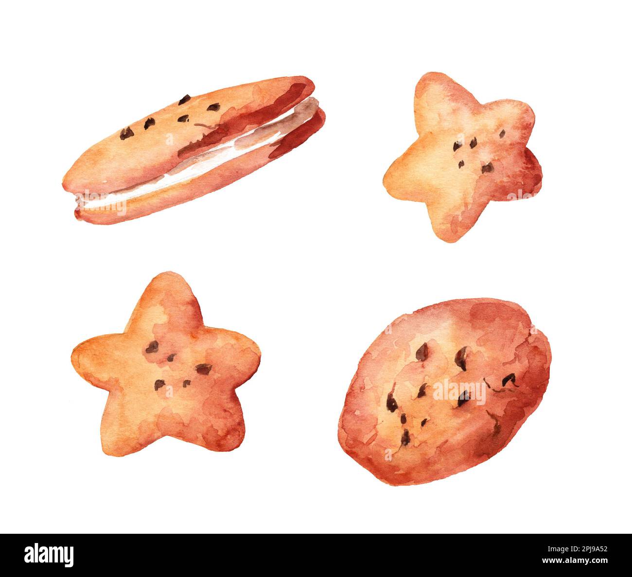 Fresh baked goods, chocolate chip cookies and cream filling. Hand drawn ...