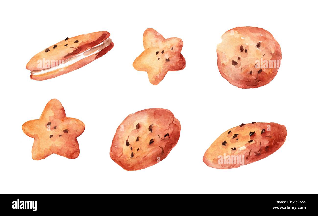 Fresh baked goods, chocolate chip cookies and cream filling. Hand drawn ...