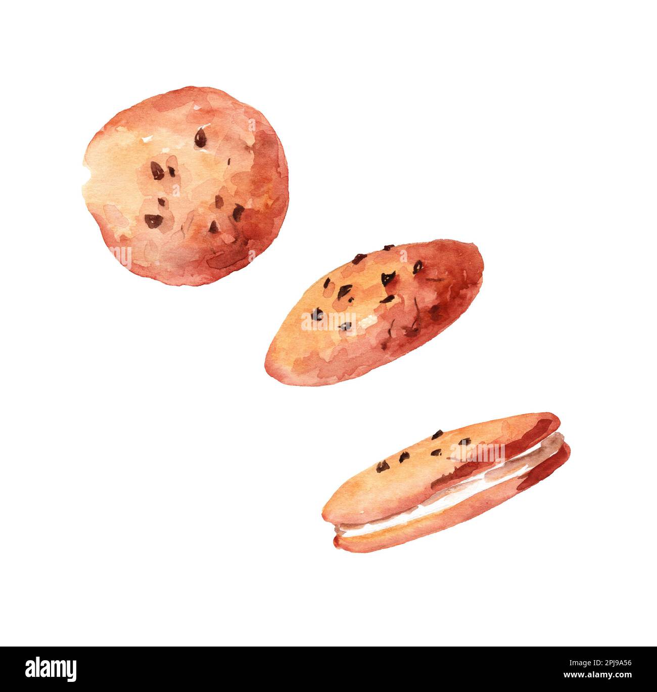 Fresh baked goods, chocolate chip cookies and cream filling. Hand drawn ...