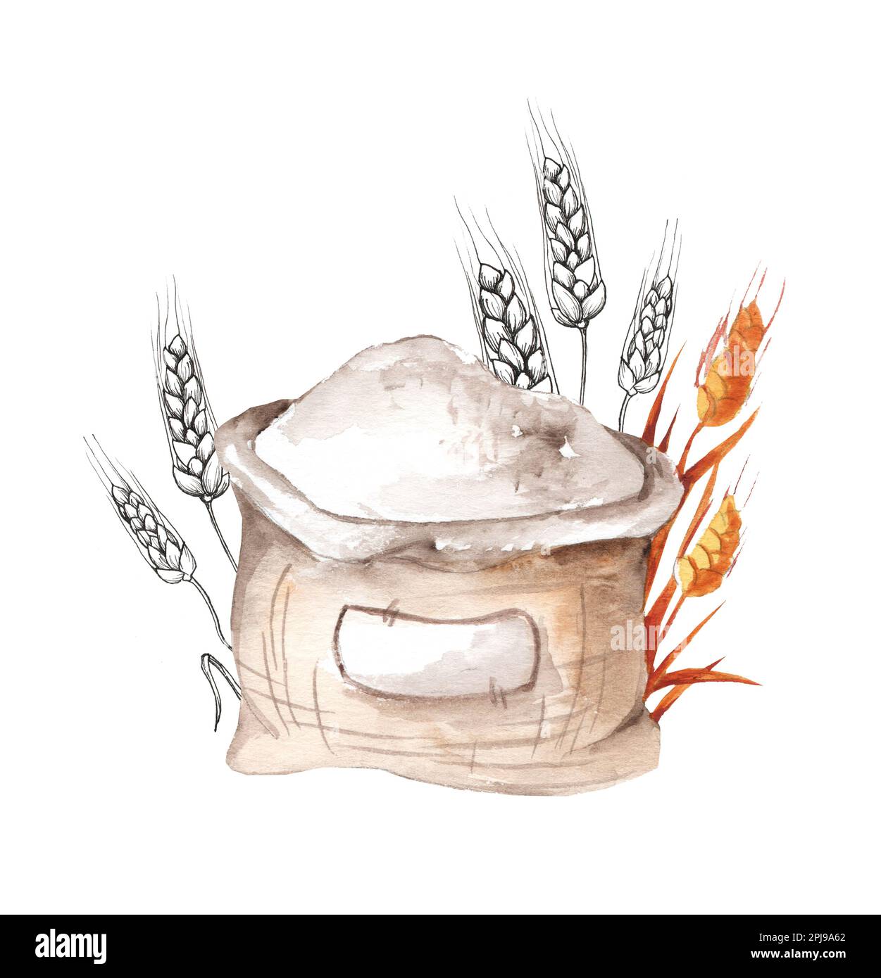 Watercolor illustration of a bag with flour and ears of wheat isolated ...