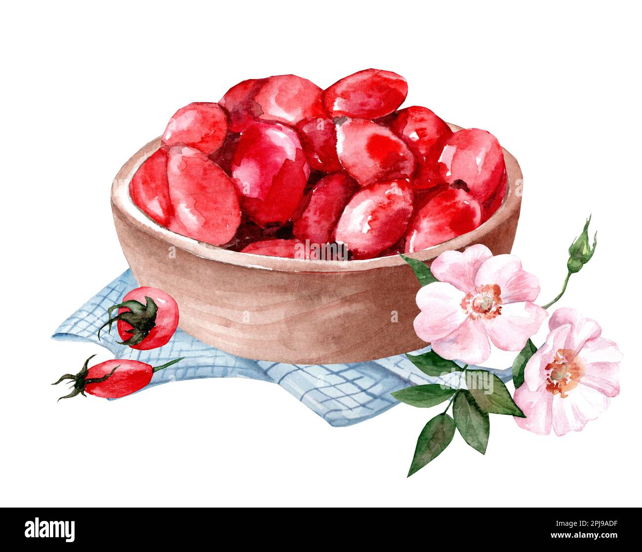 Bowl of rose hips. watercolor hand drawn illustration Stock Photo - Alamy