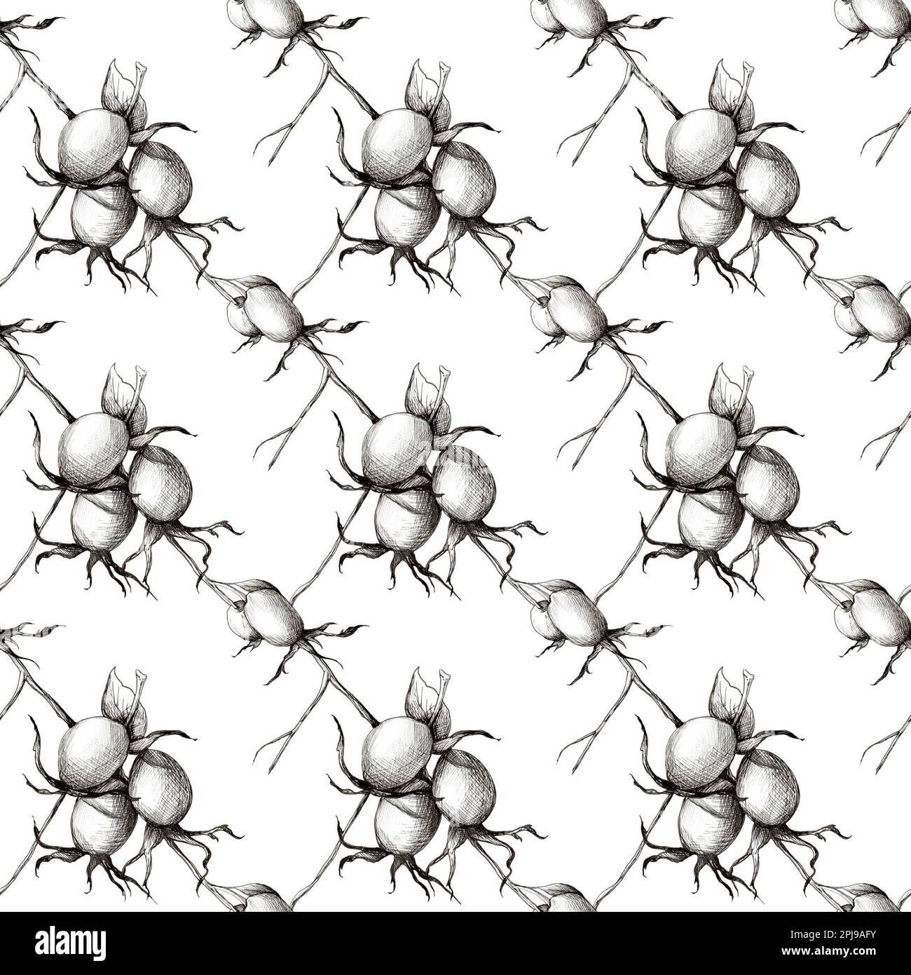 Rosehip branch with fruits. Seamless pattern. Hand drawn black and ...